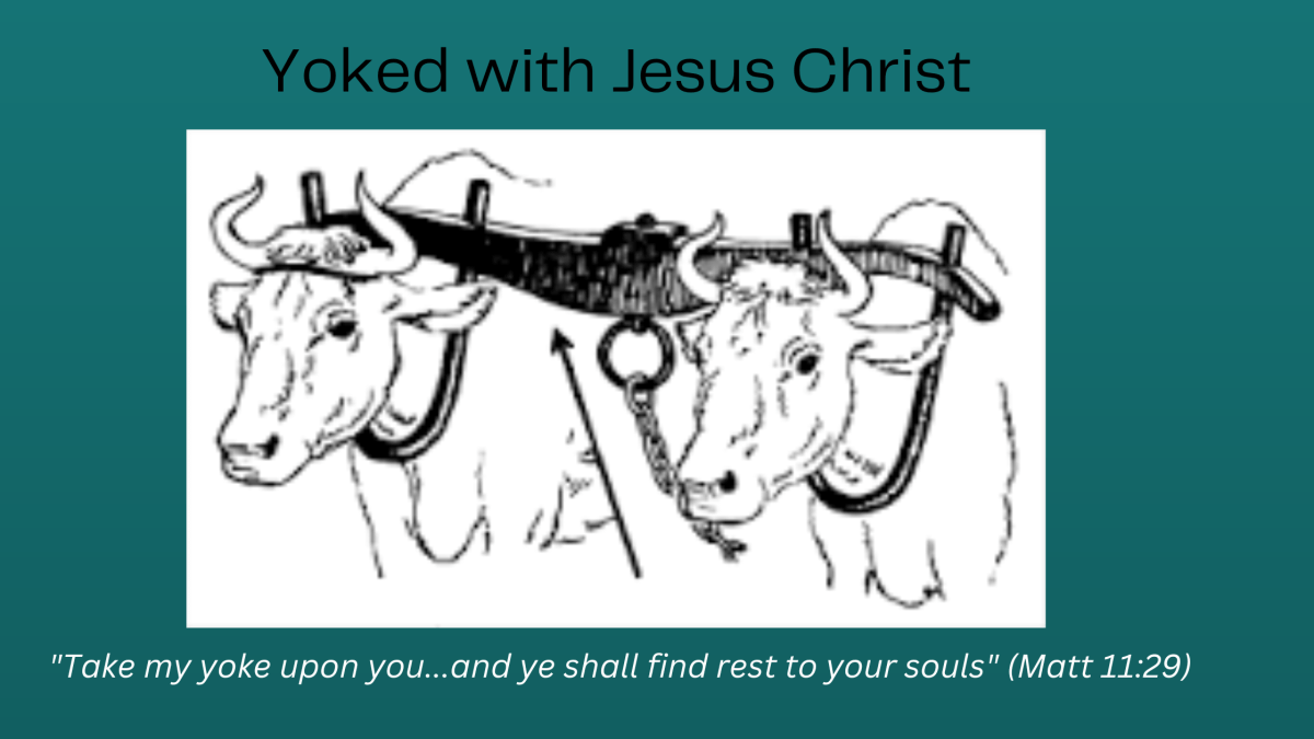 Yoked with Jesus Christ – Inspirational Musings of Mike Shelton